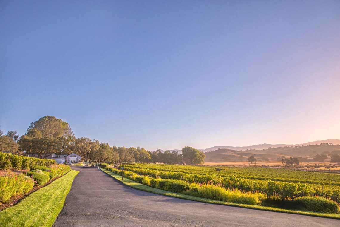Wine Tasting at Rusack Vineyards - Dansk L